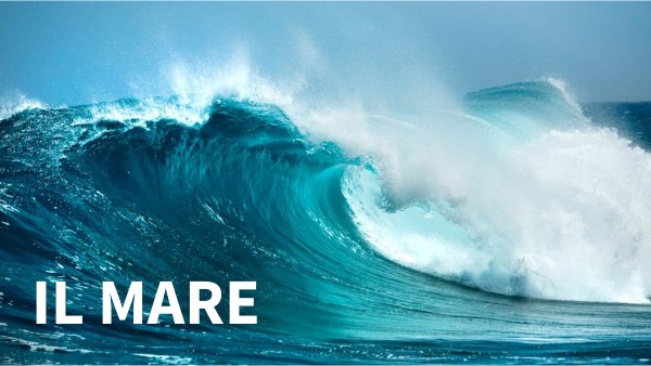 MARE