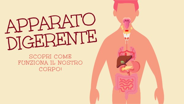 apparato digerente | Genially