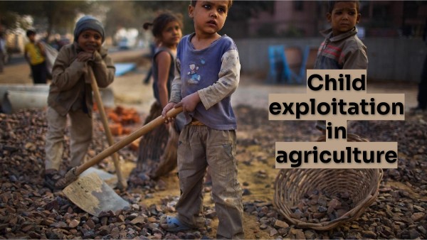 Child exploitation in agriculture