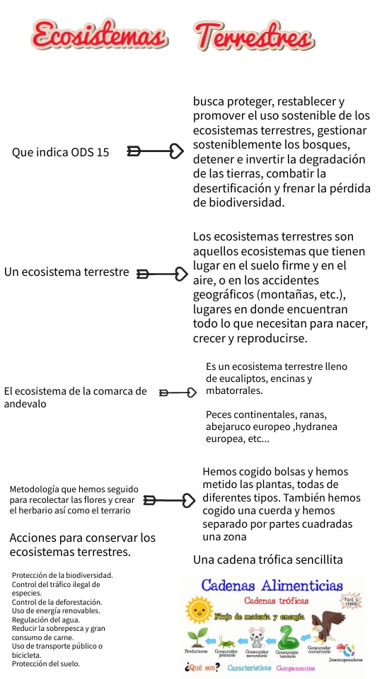 Ecosistema Terrestres | Genially