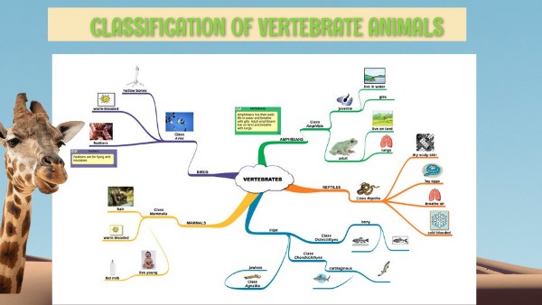 VERTEBRATE ANIMALS | Genially