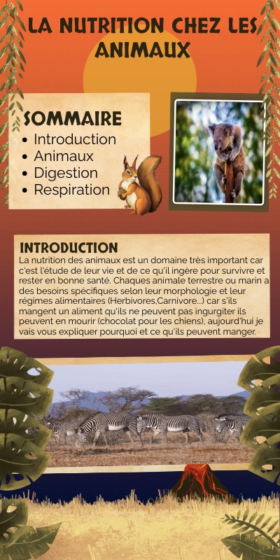 Devoir Nutrition des animaux