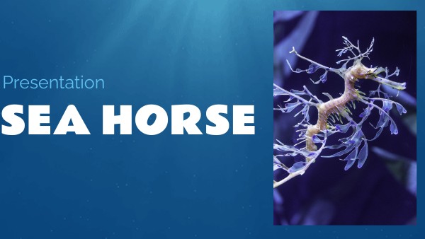 SEAHORSE PRESENTATION | Genially