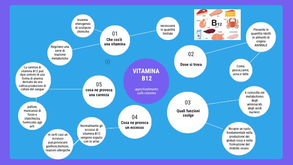Vitamina B12 | Genially