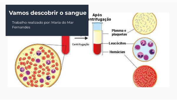 BUSINESS DOSSIER | Genially