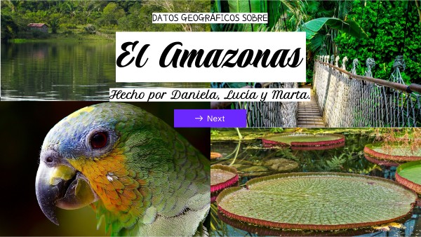 DATOS GEOGRÁFICOS DEL AMAZONAS