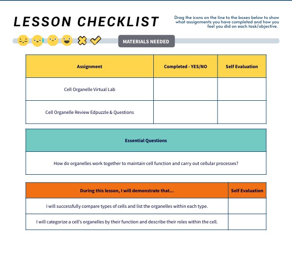 Topic 8 Lesson 3 Landing Page