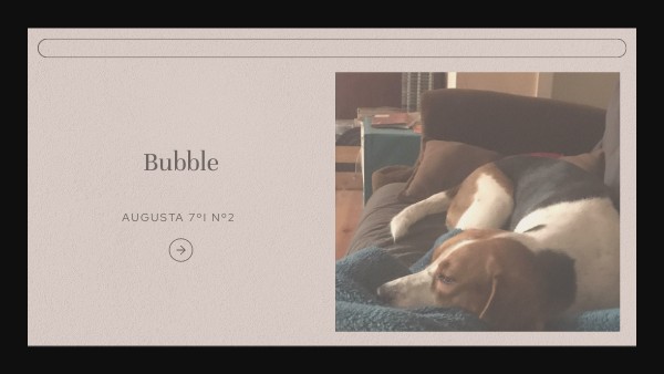 ZEN MICROSITE GUIDE | Genially