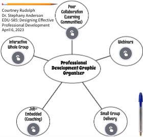 Professional Development Graphic Organizer