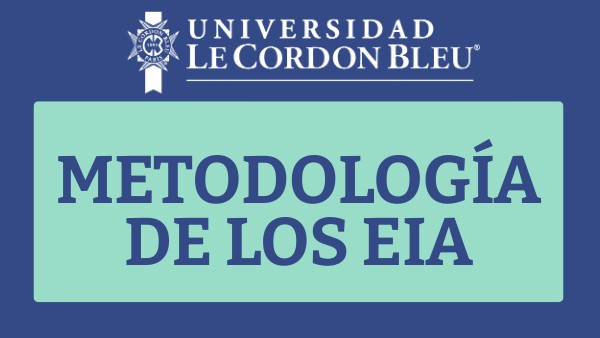 SEM 10- EIA METODOLOGÍA | Genially