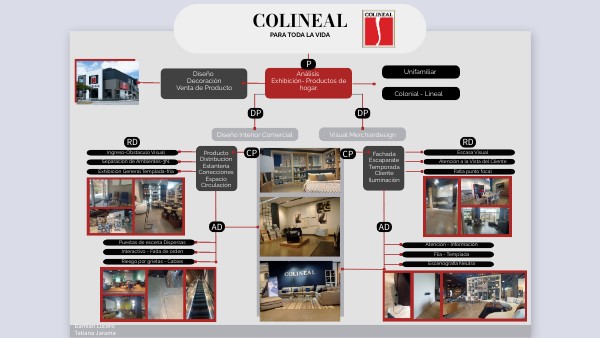MAPA MENTAL ESQUEMA VERTICAL | Genially