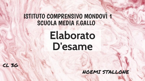 Elaborato d'esame Stallone Noemi
