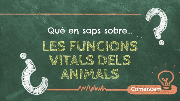 QUÈ EN SAPS SOBRE LES FUNCIONS VITALS DELS ANIMALS | Genially