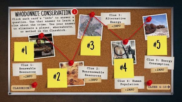 Conservation Issues WhoDunnit