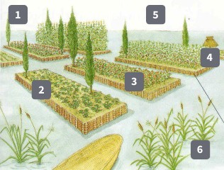 Floating Gardens: Amazing Aztec Innovation | Genially