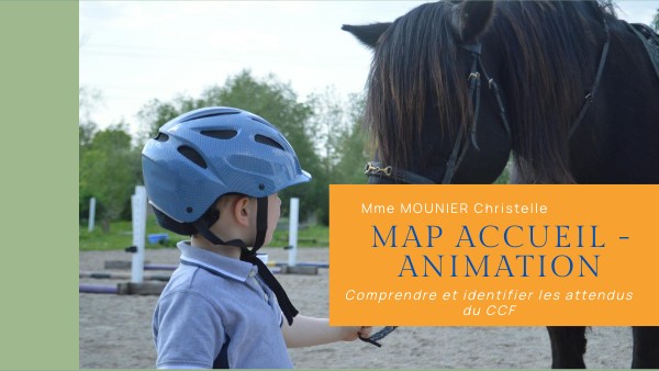 MAP Accueil / Animation