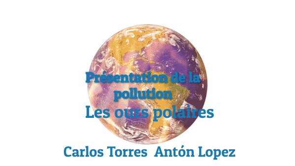 POLLUTION PRESENTATION