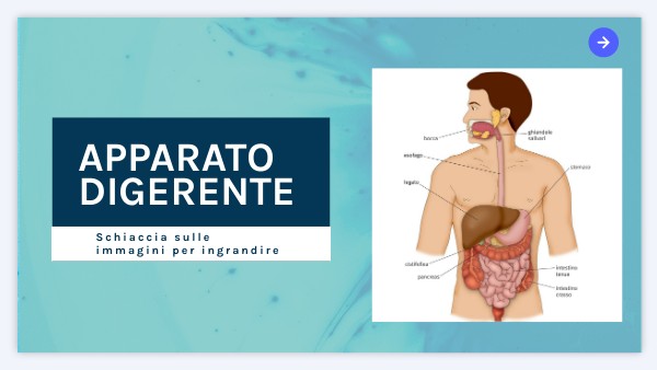 Verifica Scienze | Genially