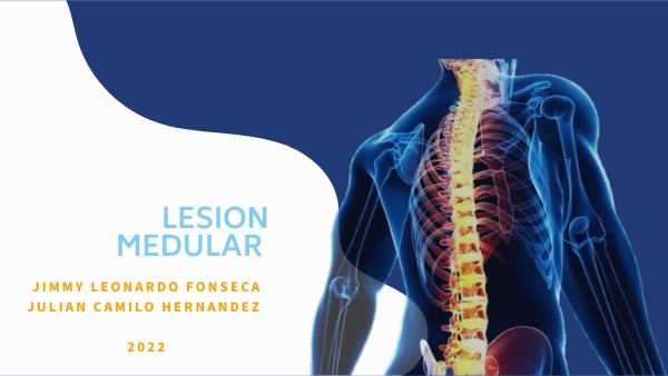 LESION MEDULAR