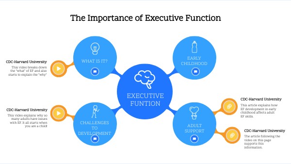 Executive Function