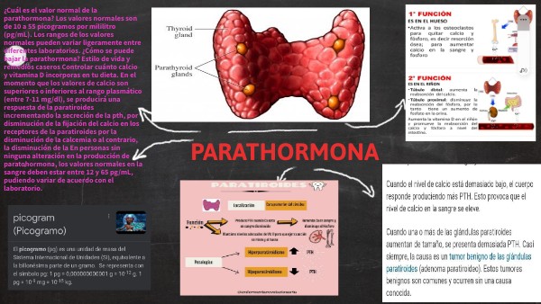 LISTA PIZARRA | Genially