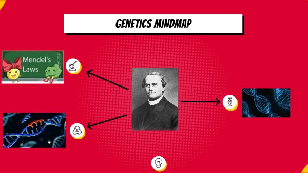 Hector 3C - Genetics MINDMAP | Genially
