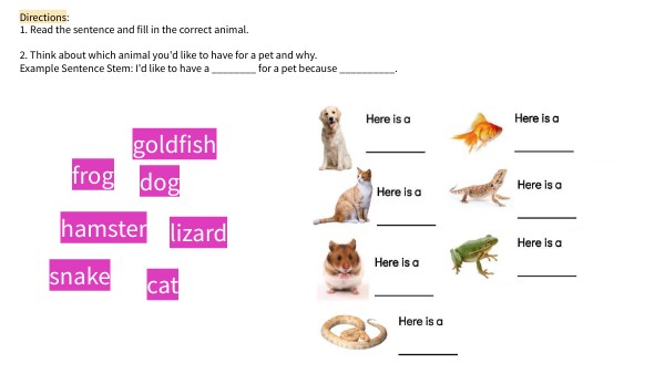 Science pets activity