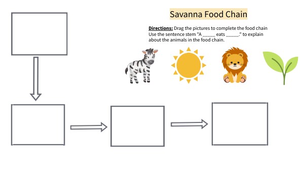 Savanna Food Chain | Genially