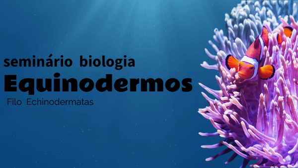 equinodermos: tuma 202 | Genially