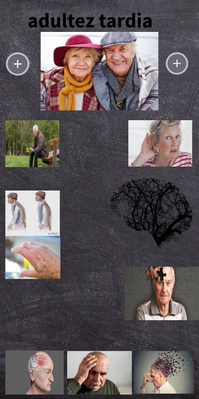 adultez tardia
