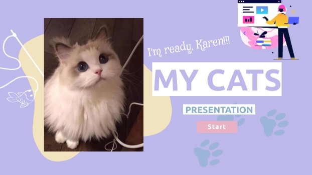 CATS PRESENTATION | Genially