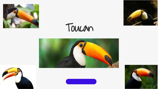 Tucan