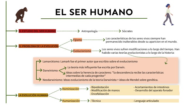 MAPA CONCEPTUAL: EL SER HUMANO | Genially