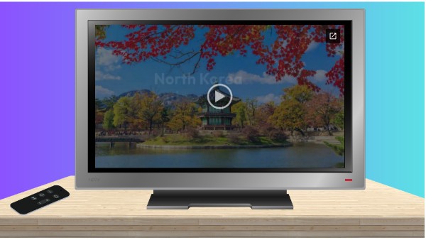 Video Topic 18 Lesson 4