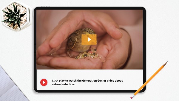 Generation Genius Video Topic 28 Lesson 1 8th
