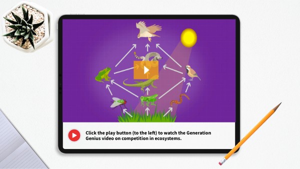 Generation Genius Video Topic 17 lesson 1 | Genially