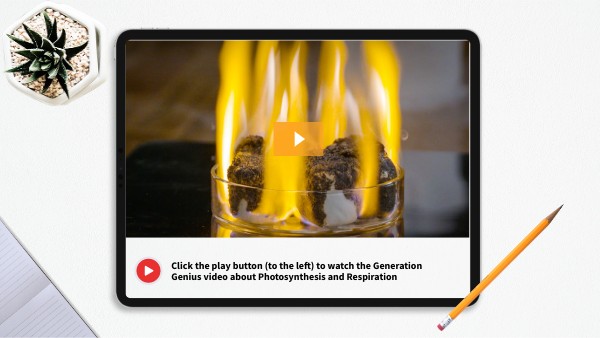 Generation Genius Video Topic 13 lesson 1th