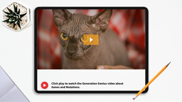 Generation Genius Video Topic 16 Lesson 1 8th