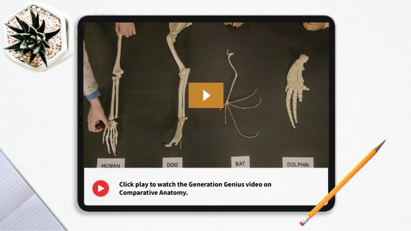 Generation Genius Video Topic 22 Lesson 1 8th