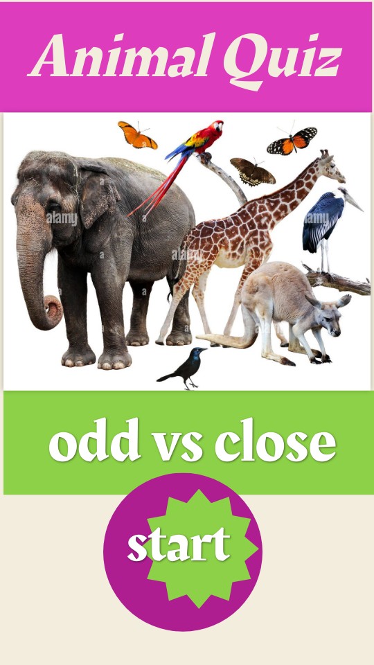 Odd animal Close animal