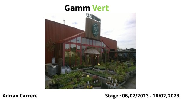 stage 3 (gm) | Genially