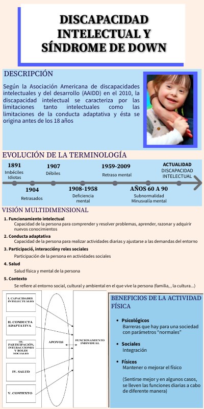 DISCAPACIDAD INTELECTUAL. SINDROME DOWN