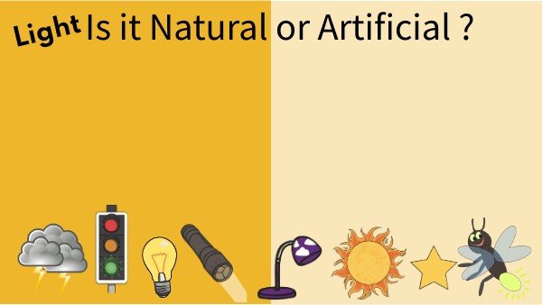 Light: Is it Natural or Artificial