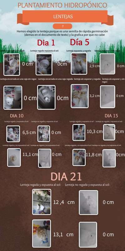 LISTA SEMILLA | Genially