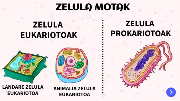 ZELULA MOTAK | Genially