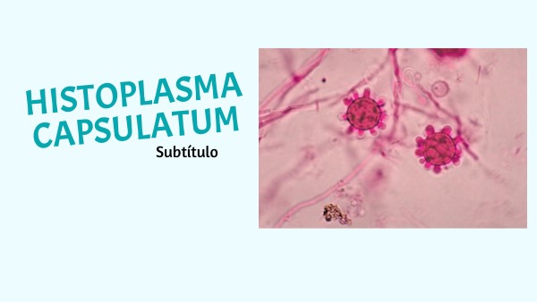 Histoplasma capsulatum | Genially