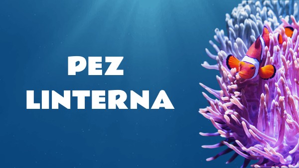 PRESENTACIÓN MARINA