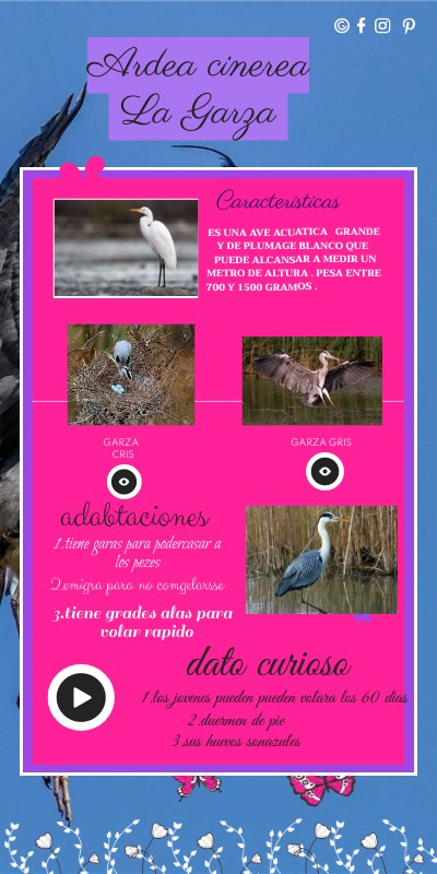 Emma [la garza ] | Genially