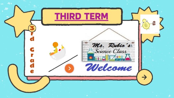 5. 3rd Grade. III Term