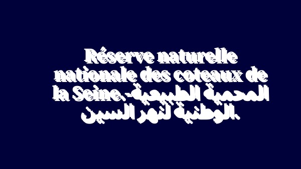 Copie - BASIC DARK PRESENTATION